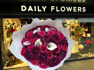 Free Flower Delivery Amsterdam - Daily Flowers
